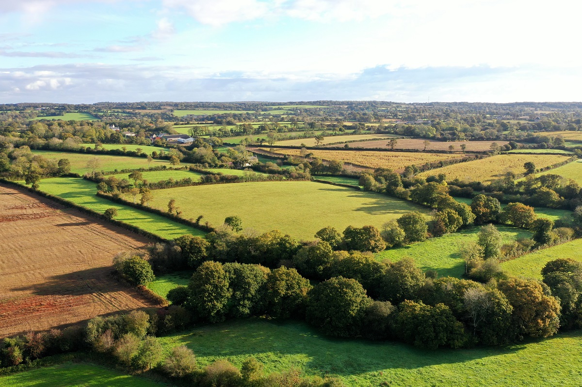 Le bocage, paysage identitaire de la Manche | Manche.fr