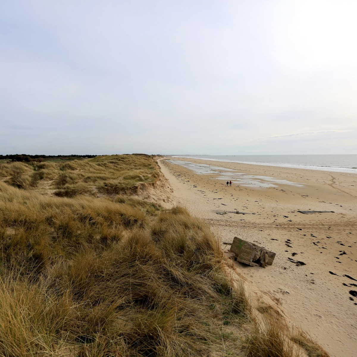 Conseil départemental de la Manche | Manche.fr