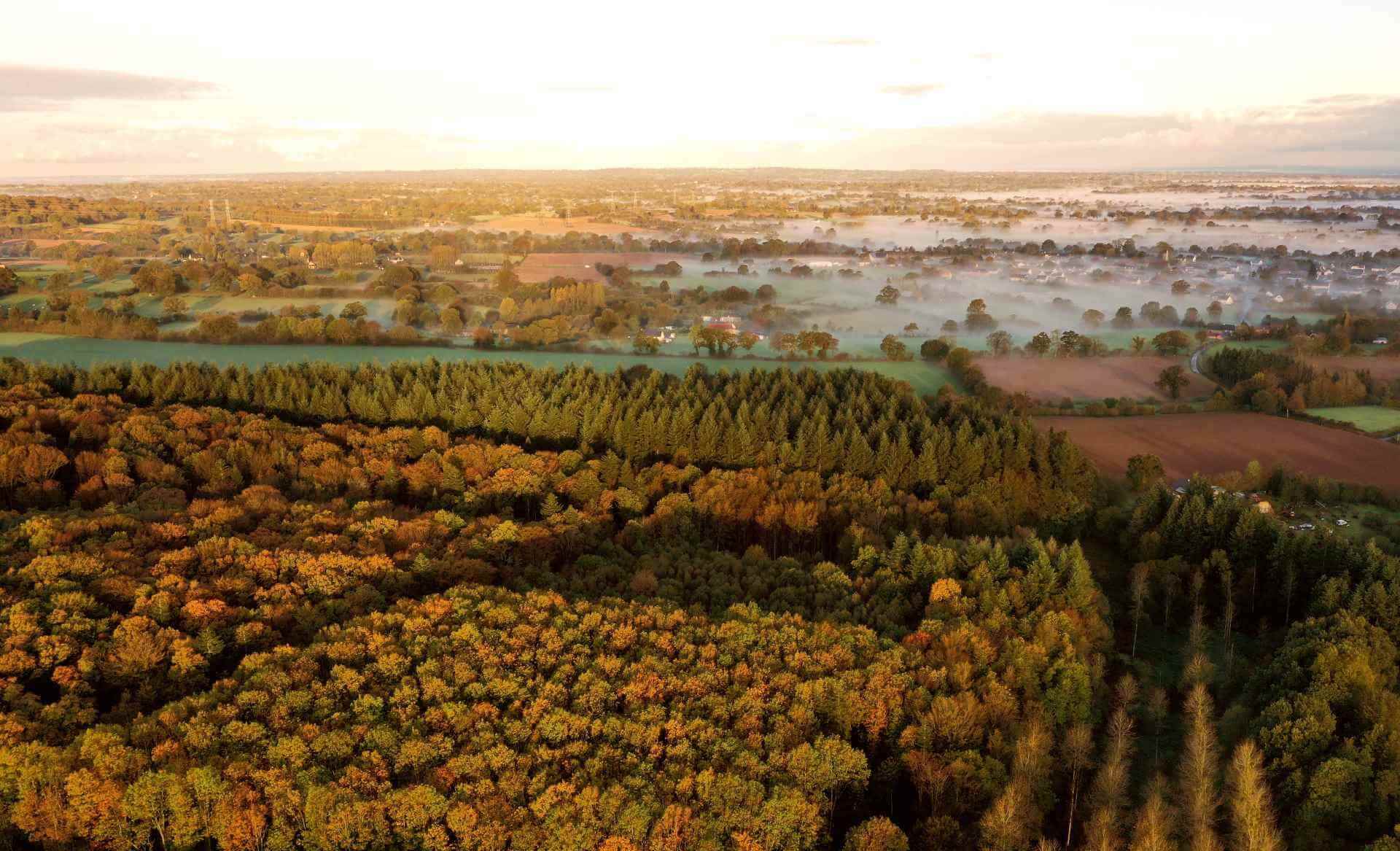 Conseil départemental de la Manche | Manche.fr